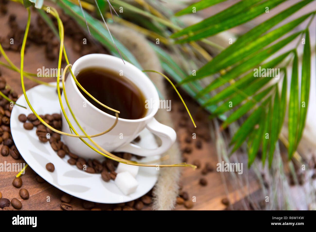 Coffee for all Stock Photo - Alamy