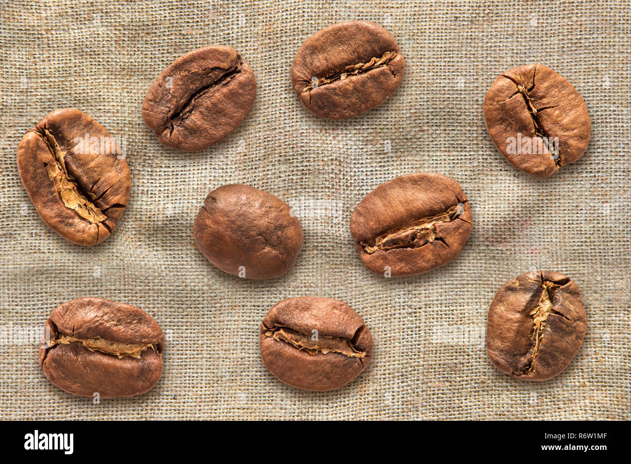 Coffee for all Stock Photo - Alamy