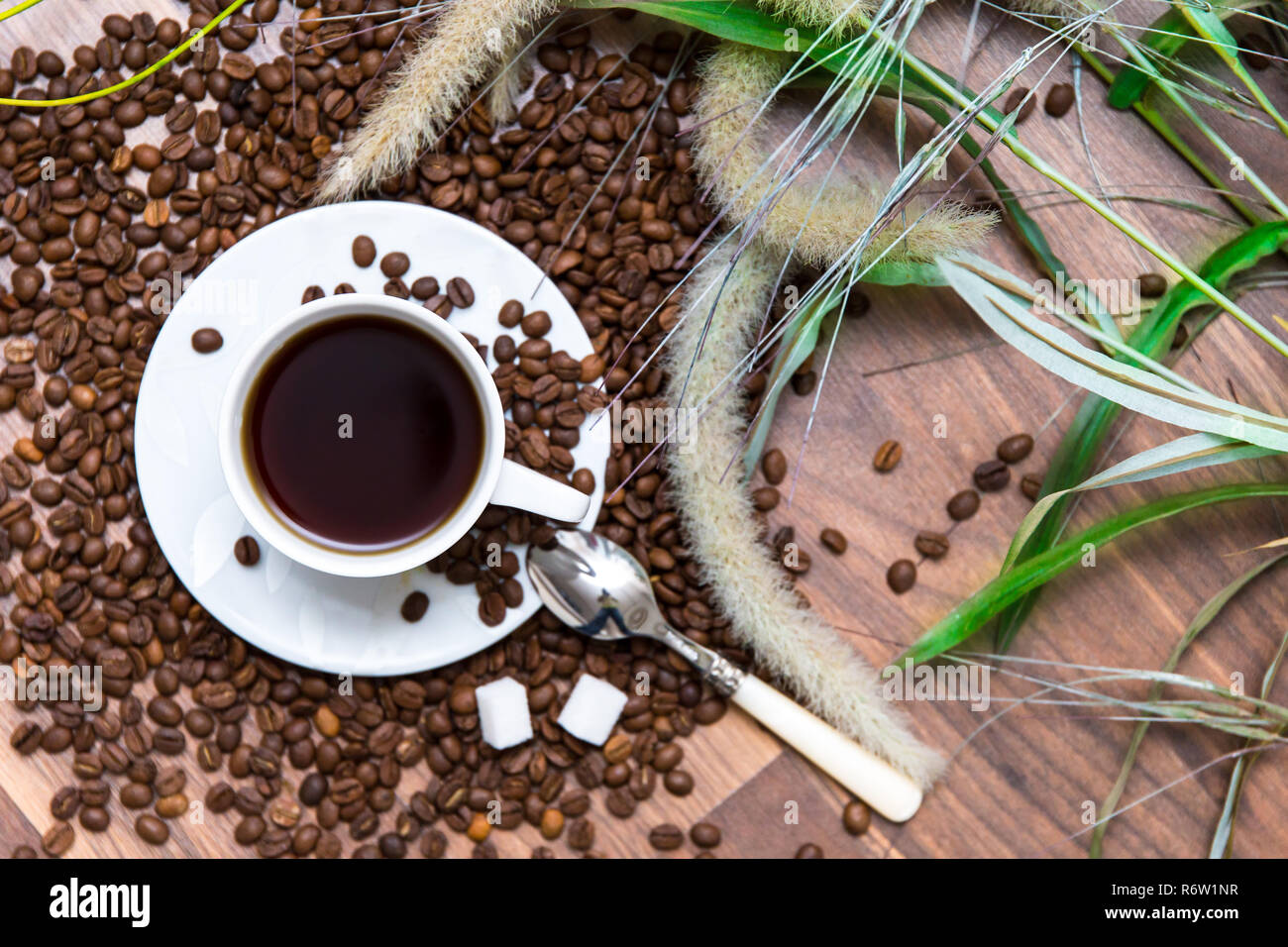 Coffee for all Stock Photo - Alamy