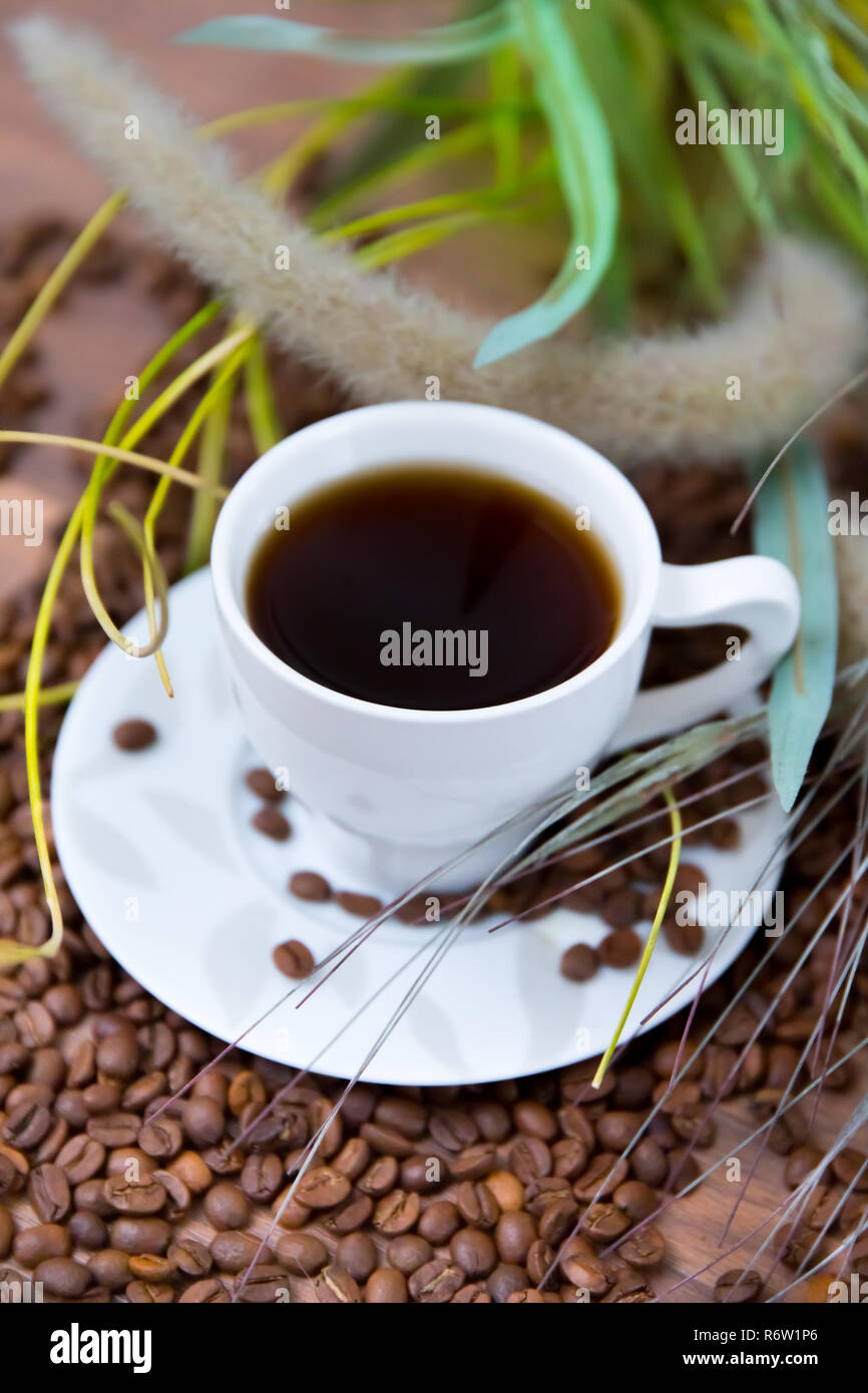 Coffee for all Stock Photo - Alamy