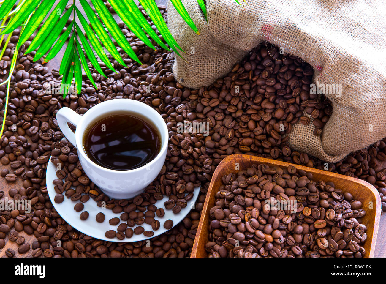 Coffee for all Stock Photo - Alamy