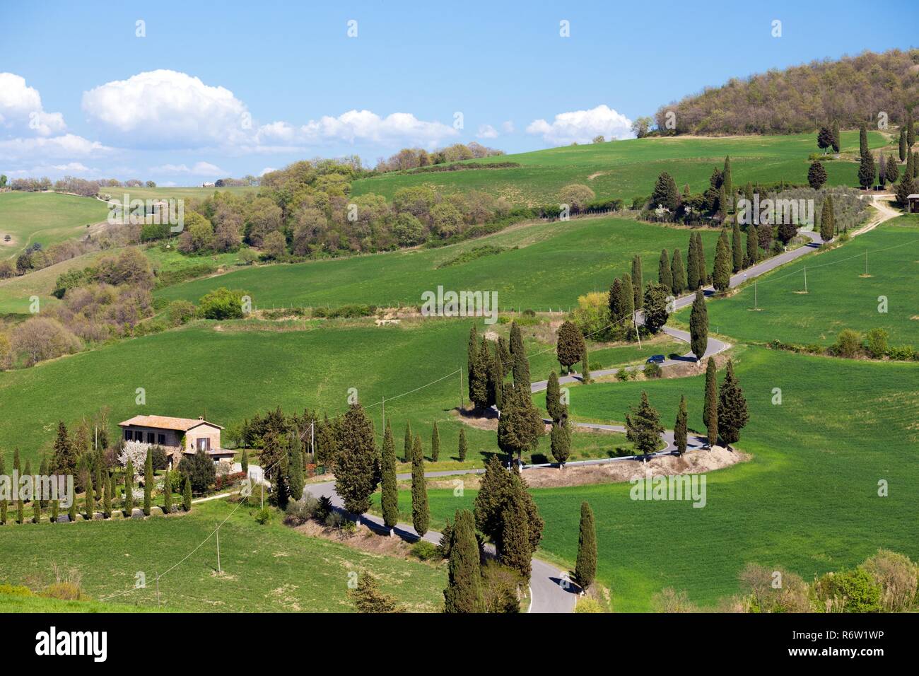 famous winding road at the Siena region Stock Photo - Alamy