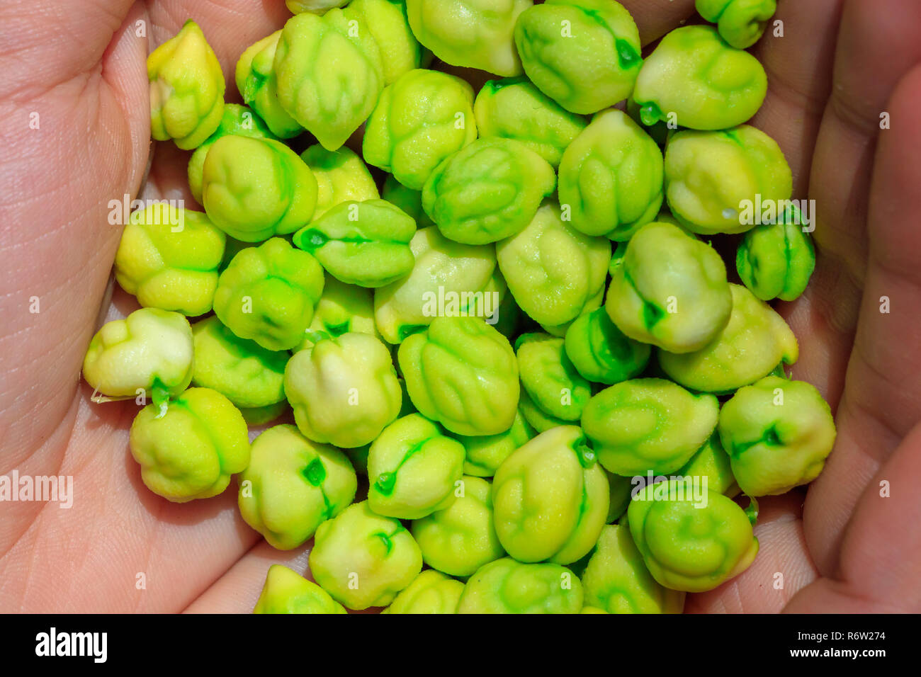 Fresh green chickpeas Stock Photo - Alamy