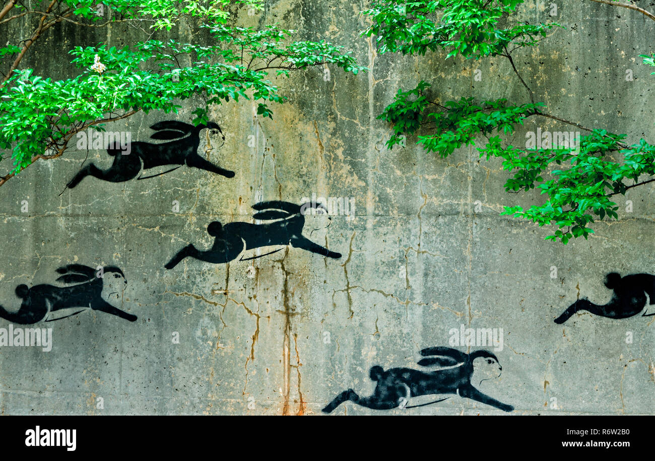 Running rabbits stencil graffiti covers a wall along College Avenue, in ...