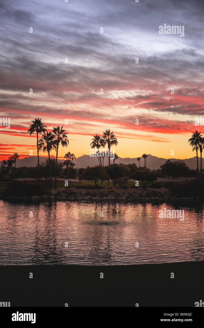 Palm trees reflecting in the water at sunset Stock Photo - Alamy