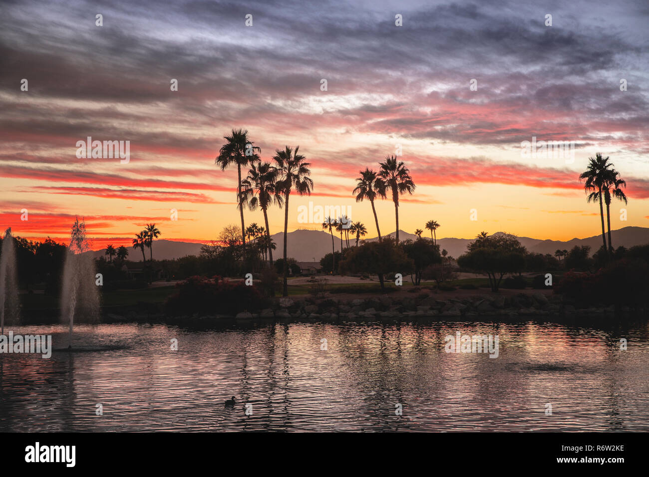 Palm trees reflecting in the water at sunset Stock Photo - Alamy