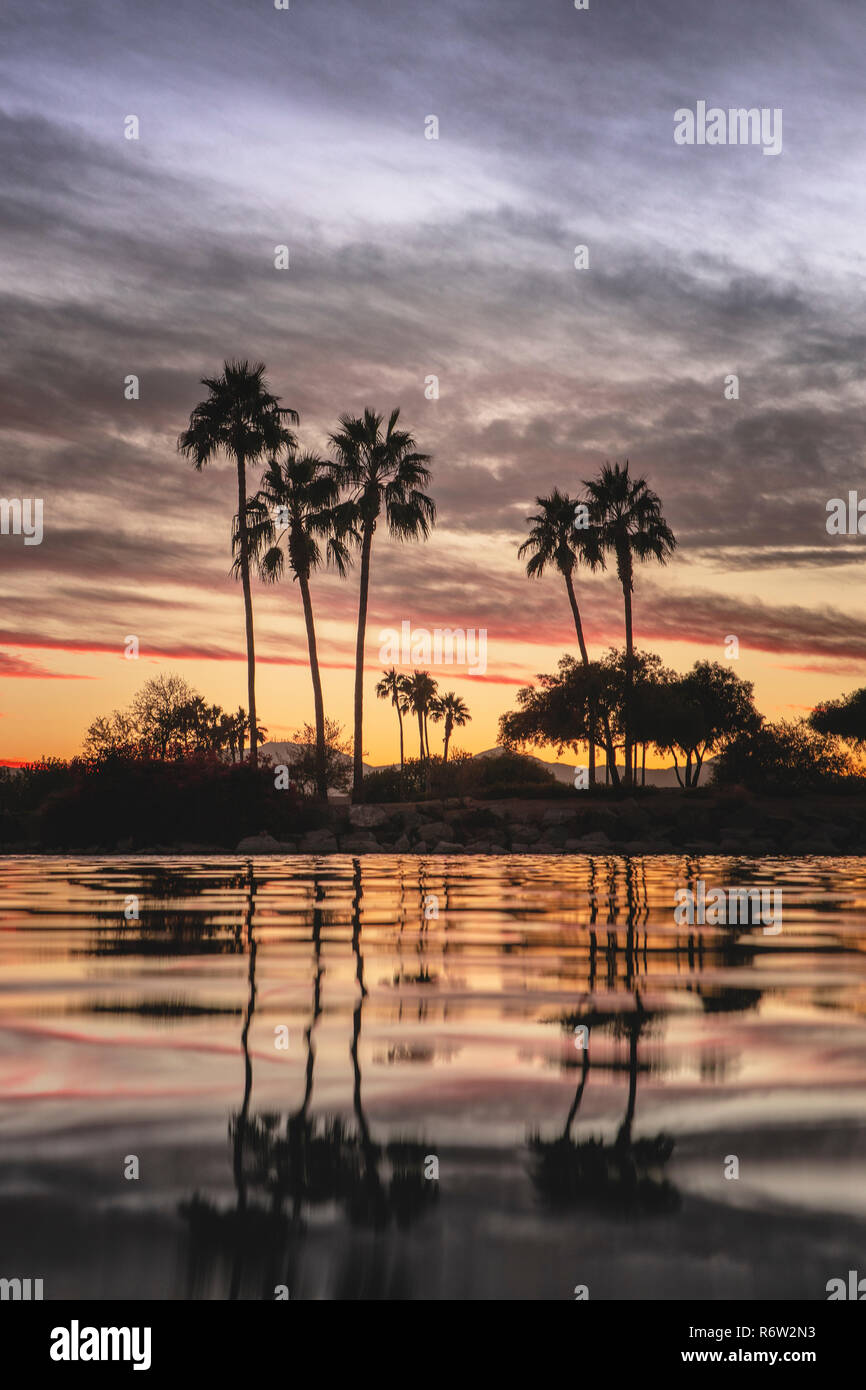 Palm trees reflecting in the water at sunset Stock Photo - Alamy