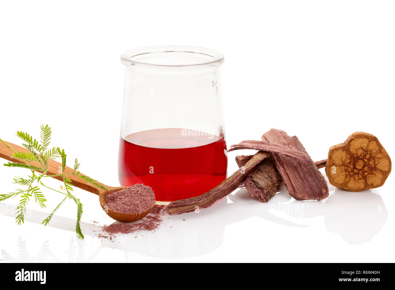 Dmt plants hi-res stock photography and images - Alamy