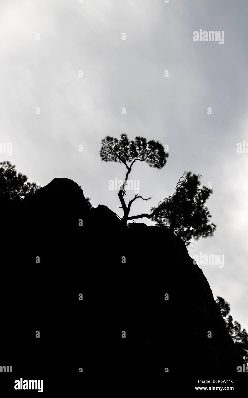 Night cloudy weather over dry hi-res stock photography and images - Alamy