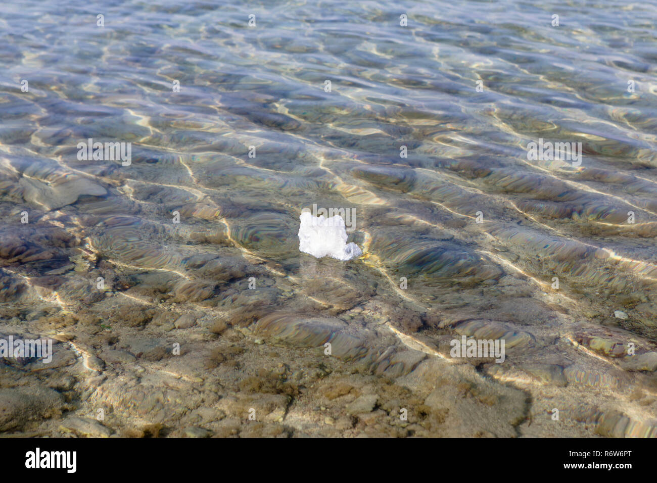 Plastic bag sea hi-res stock photography and images - Alamy