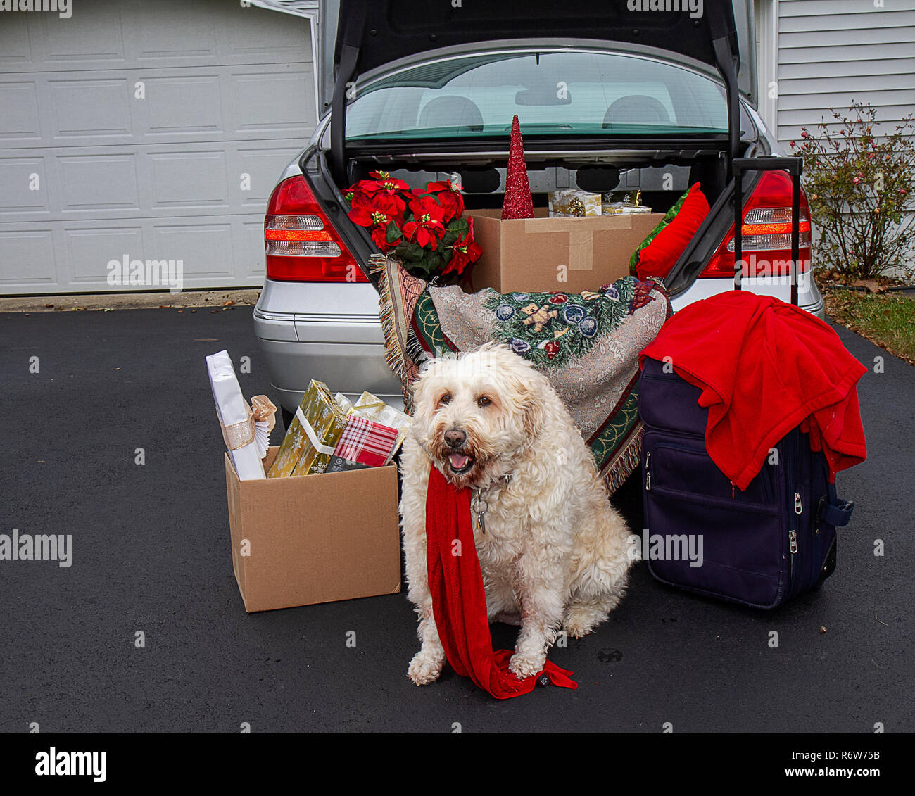 Car filled boxes hi-res stock photography and images - Alamy