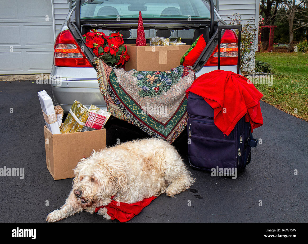 Car filled boxes hi-res stock photography and images - Alamy