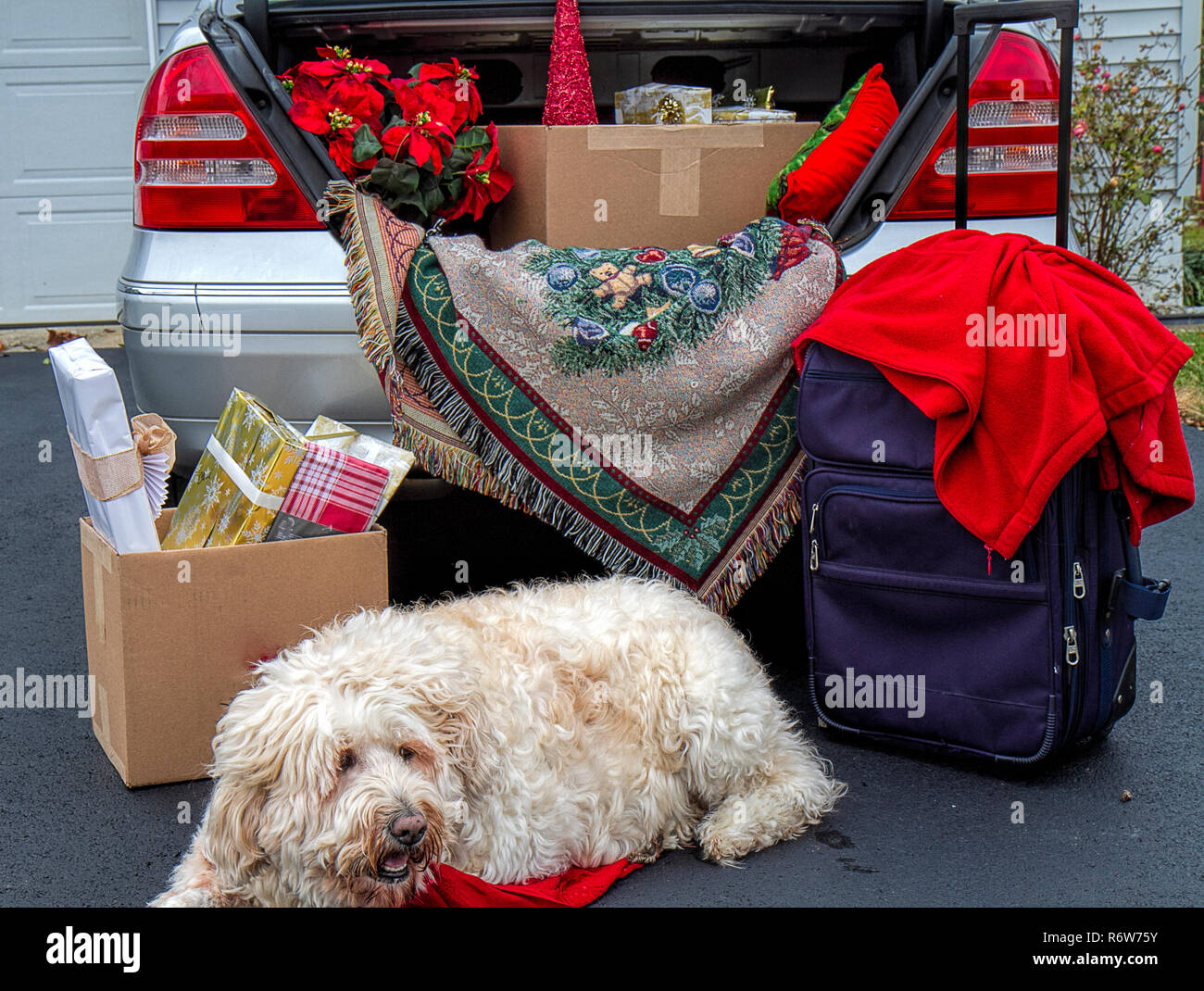Holiday gifts and luggage hi-res stock photography and images - Alamy