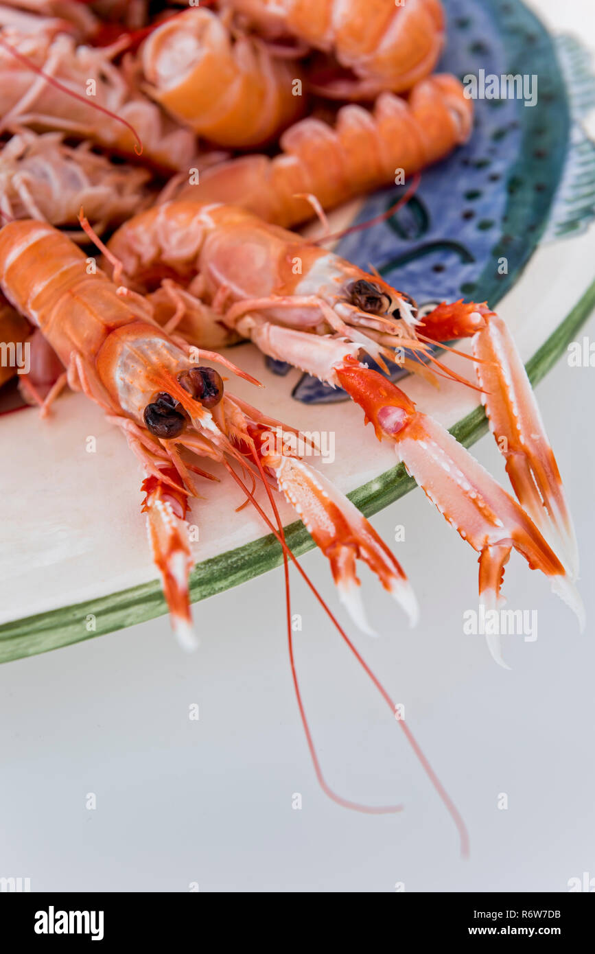 Modern fresh home interior hi-res stock photography and images - Alamy