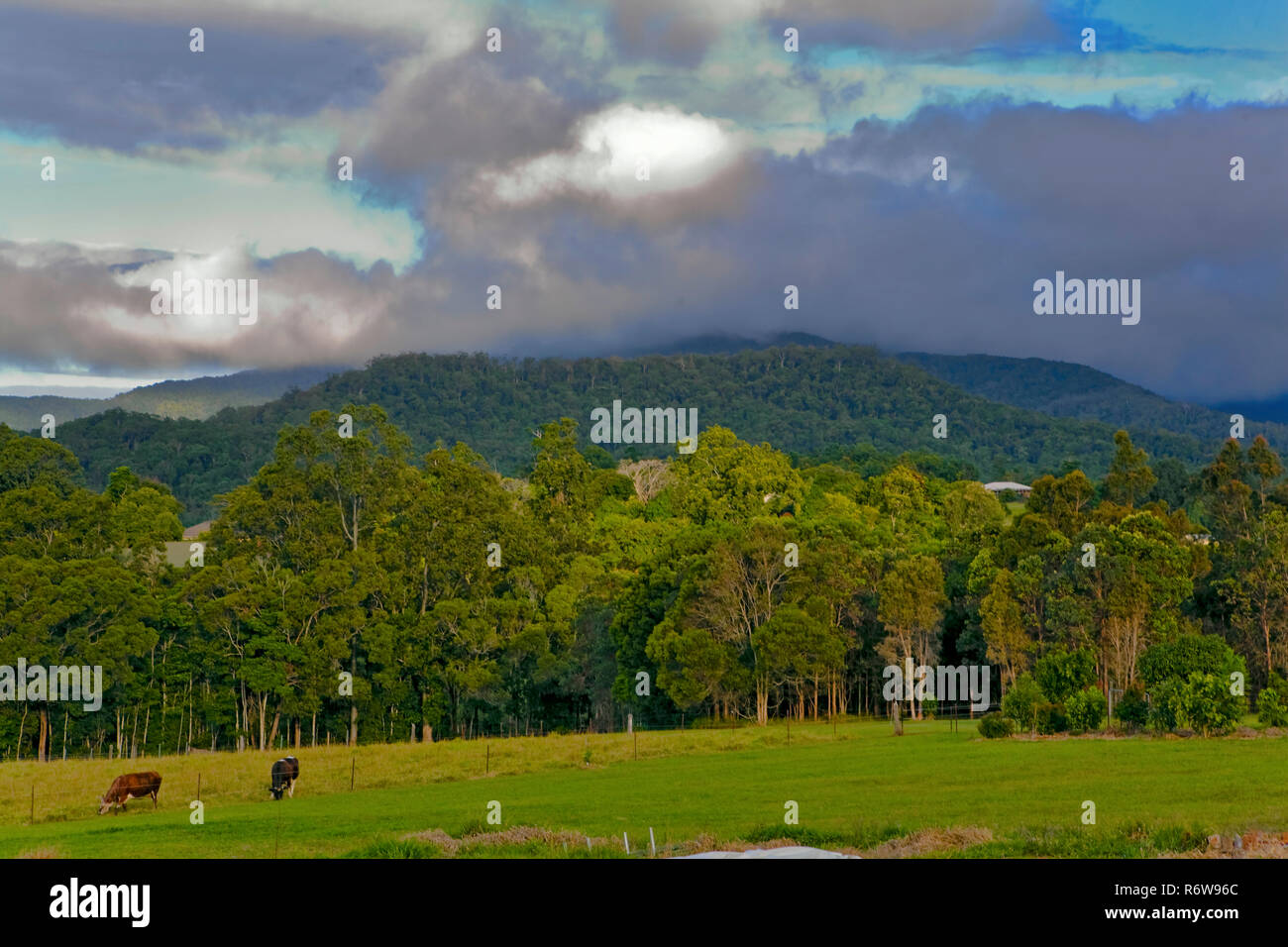 Kuranda is a town near to Cairns, Queensland, Australia Stock Photo - Alamy