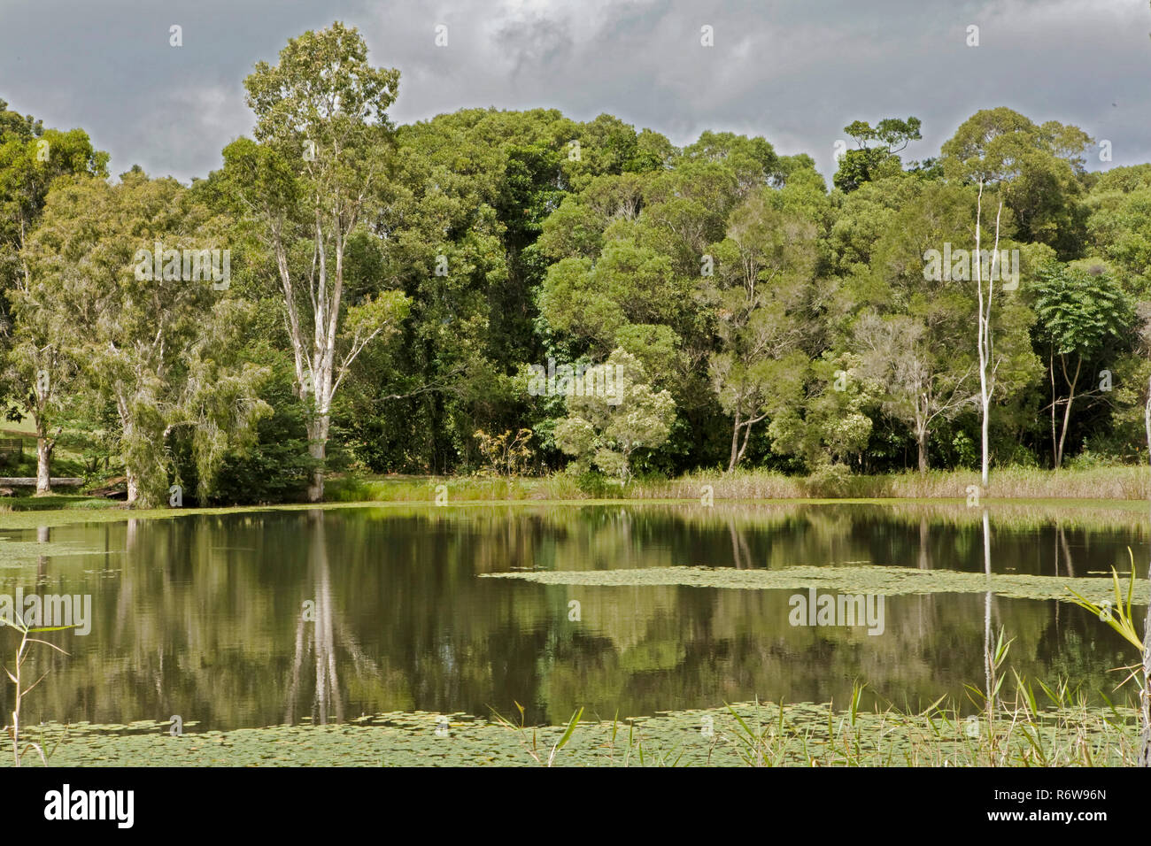 Kuranda is a town near to Cairns, Queensland, Australia Stock Photo - Alamy