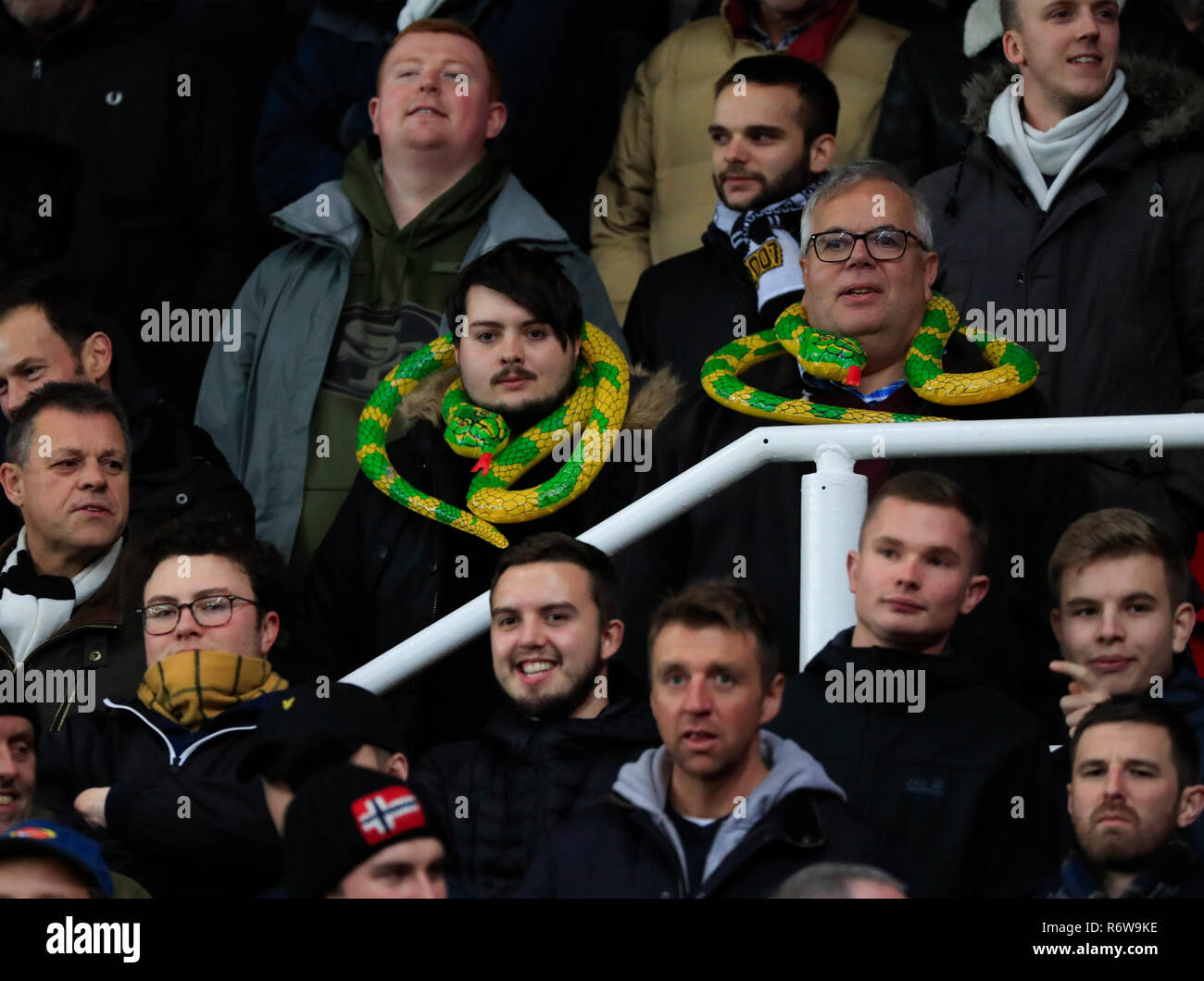 Snakes images hi-res stock photography and images - Alamy