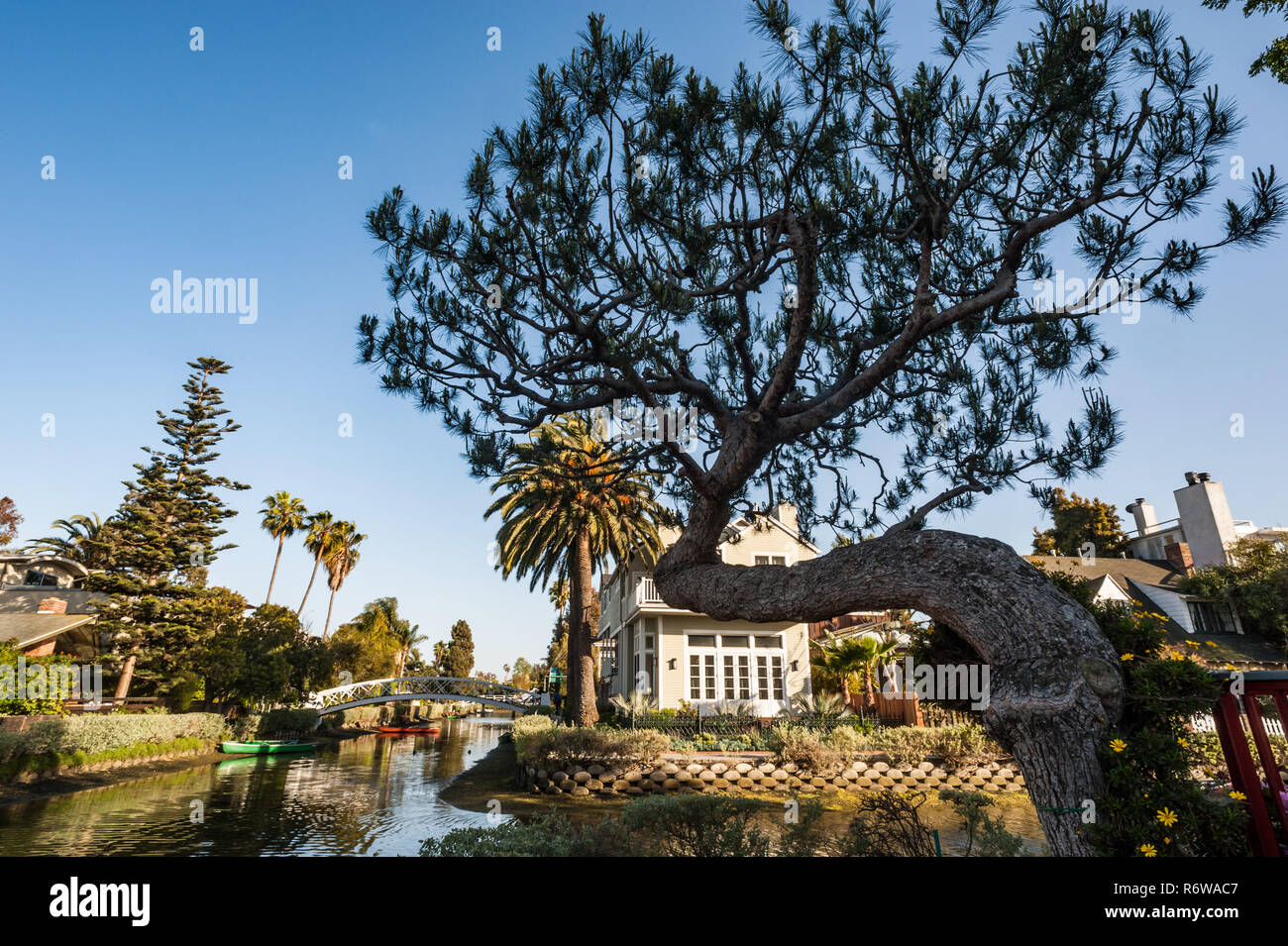 Venice canals tree landscape, Los Ageles, California Stock Photo - Alamy