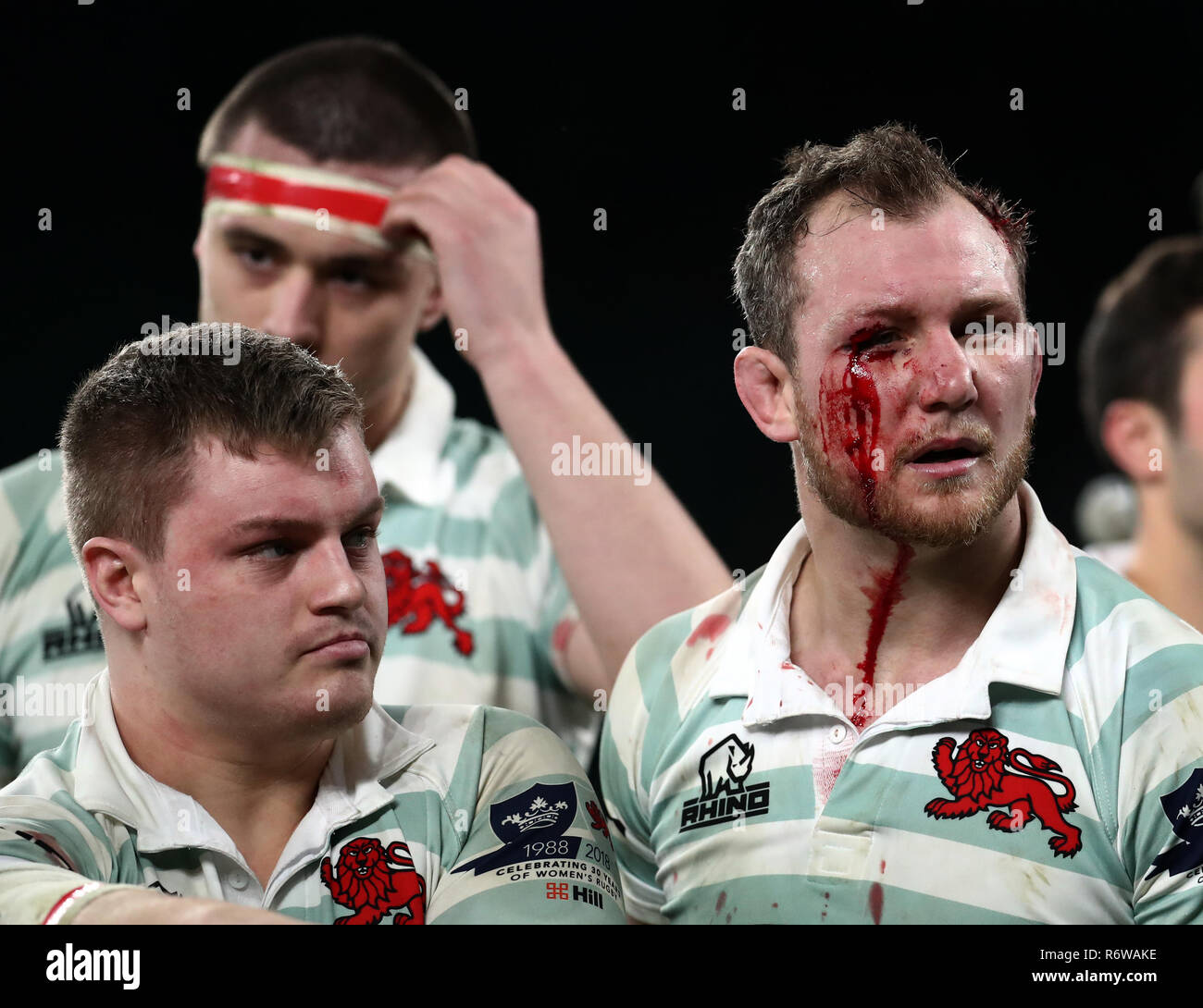 Koster right hi-res stock photography and images - Alamy