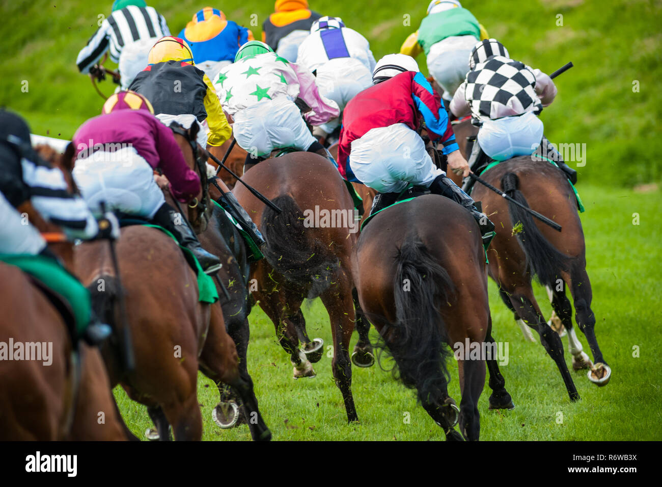 Horse race galloping aroud a sharp turn on the racetrack Stock Photo ...