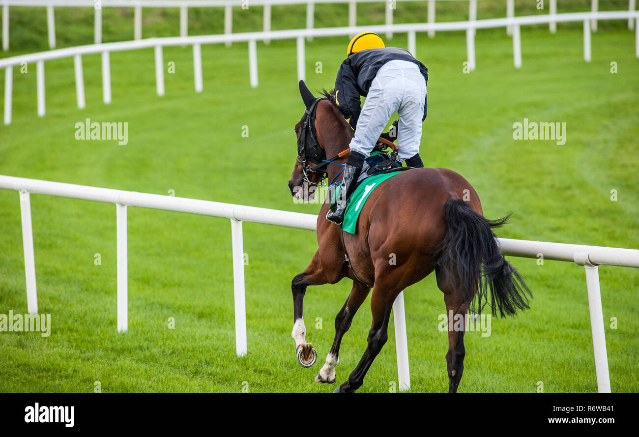 Single race horse and jockey running on the racetrack Stock Photo - Alamy
