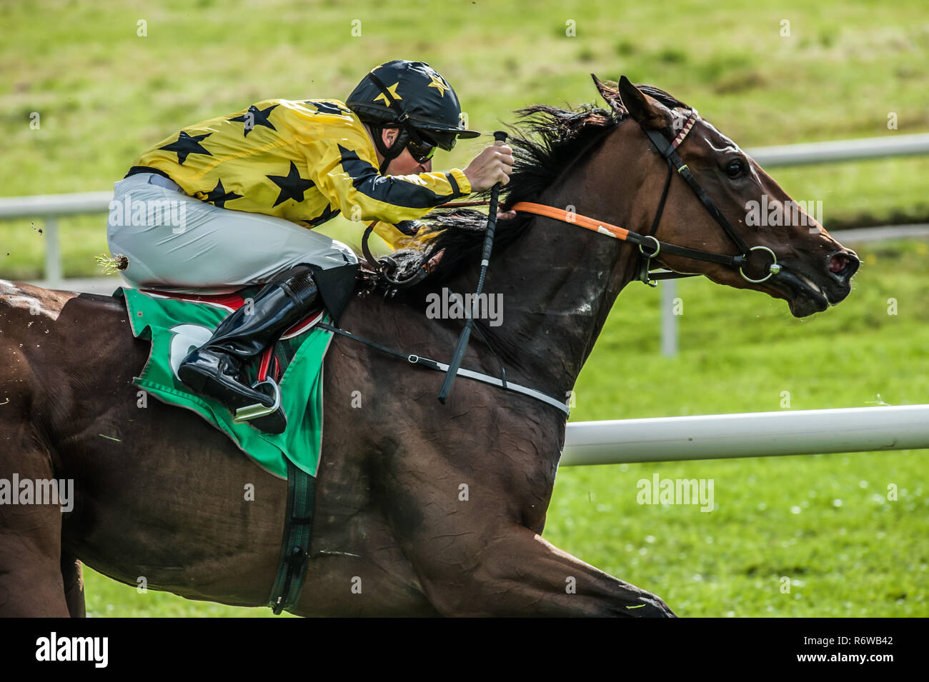 Close-up of jockey and race horse in action, fast motion close-up Stock ...