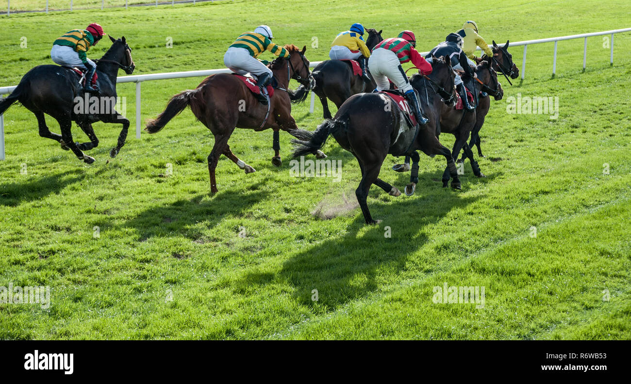 Group racing together hi-res stock photography and images - Alamy