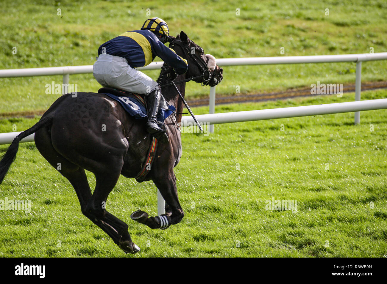 Single race horse and jockey racing towards the fininsh line Stock ...