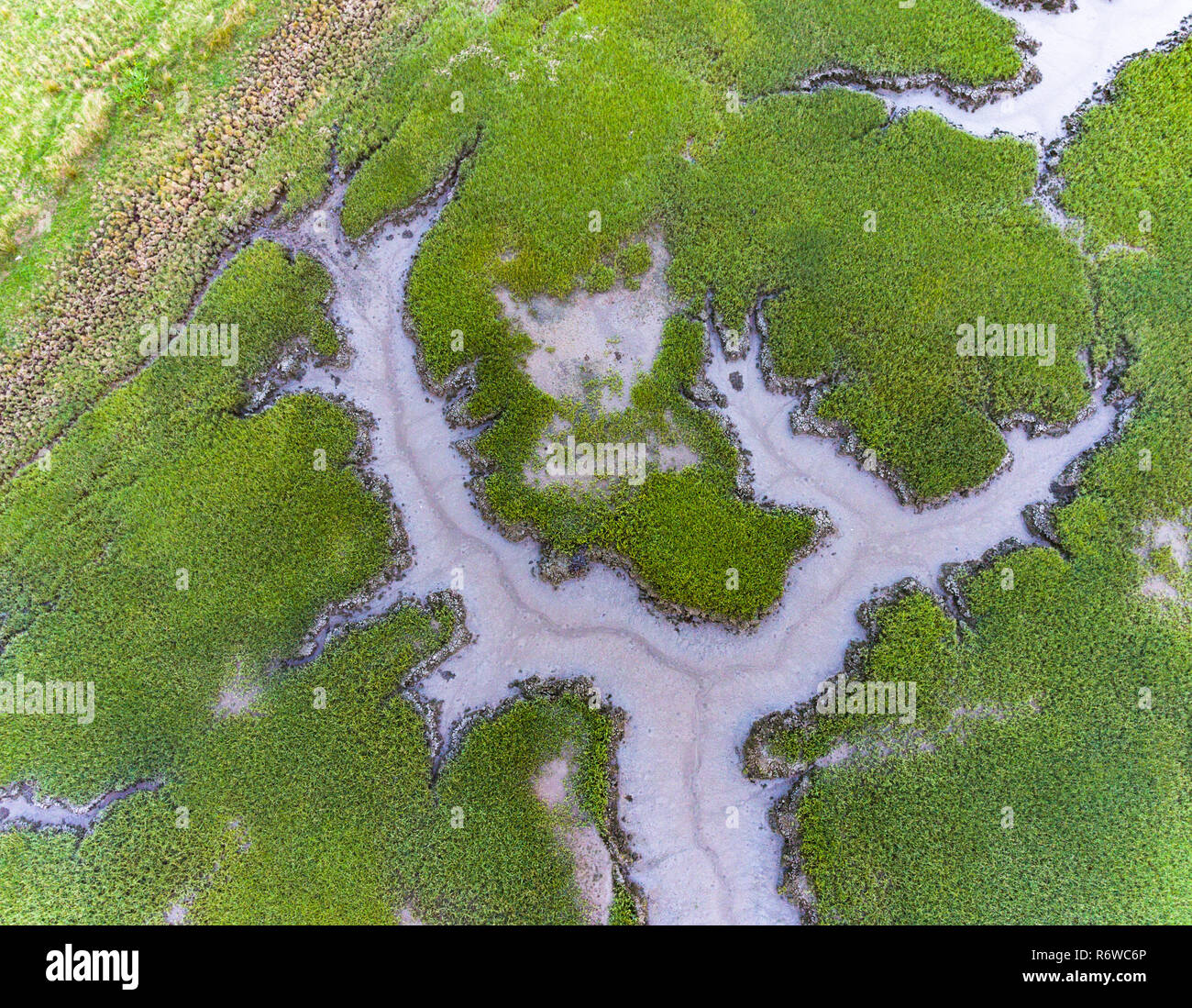 Aerial view lush wetlands hi-res stock photography and images - Alamy