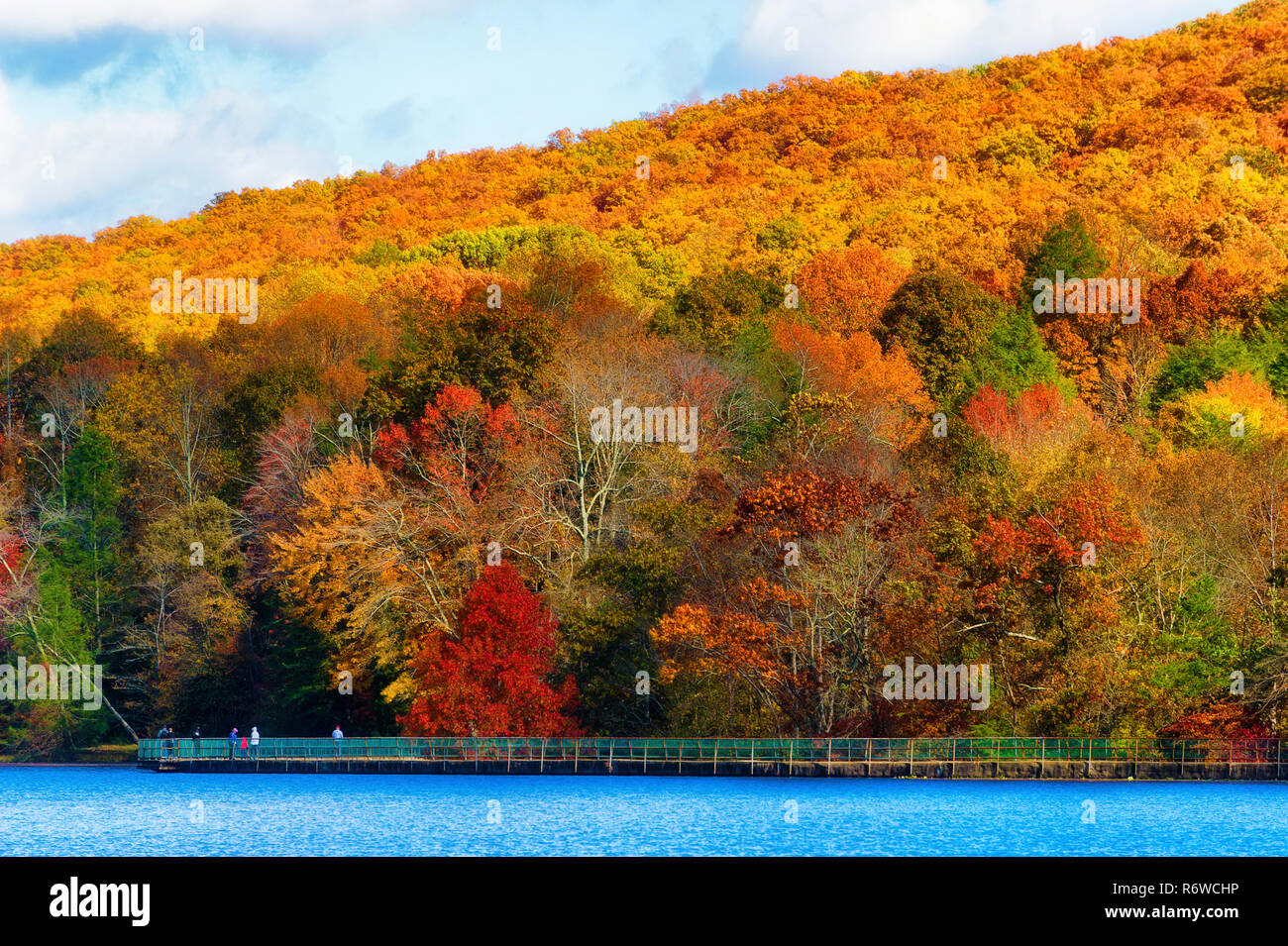 Colorful fall colors reflect along the shoreline of Bay Mountain Lake ...