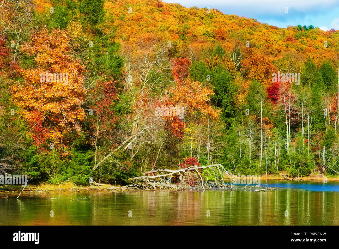 Colorful fall colors reflect along the shoreline of Bay Mountain Lake ...