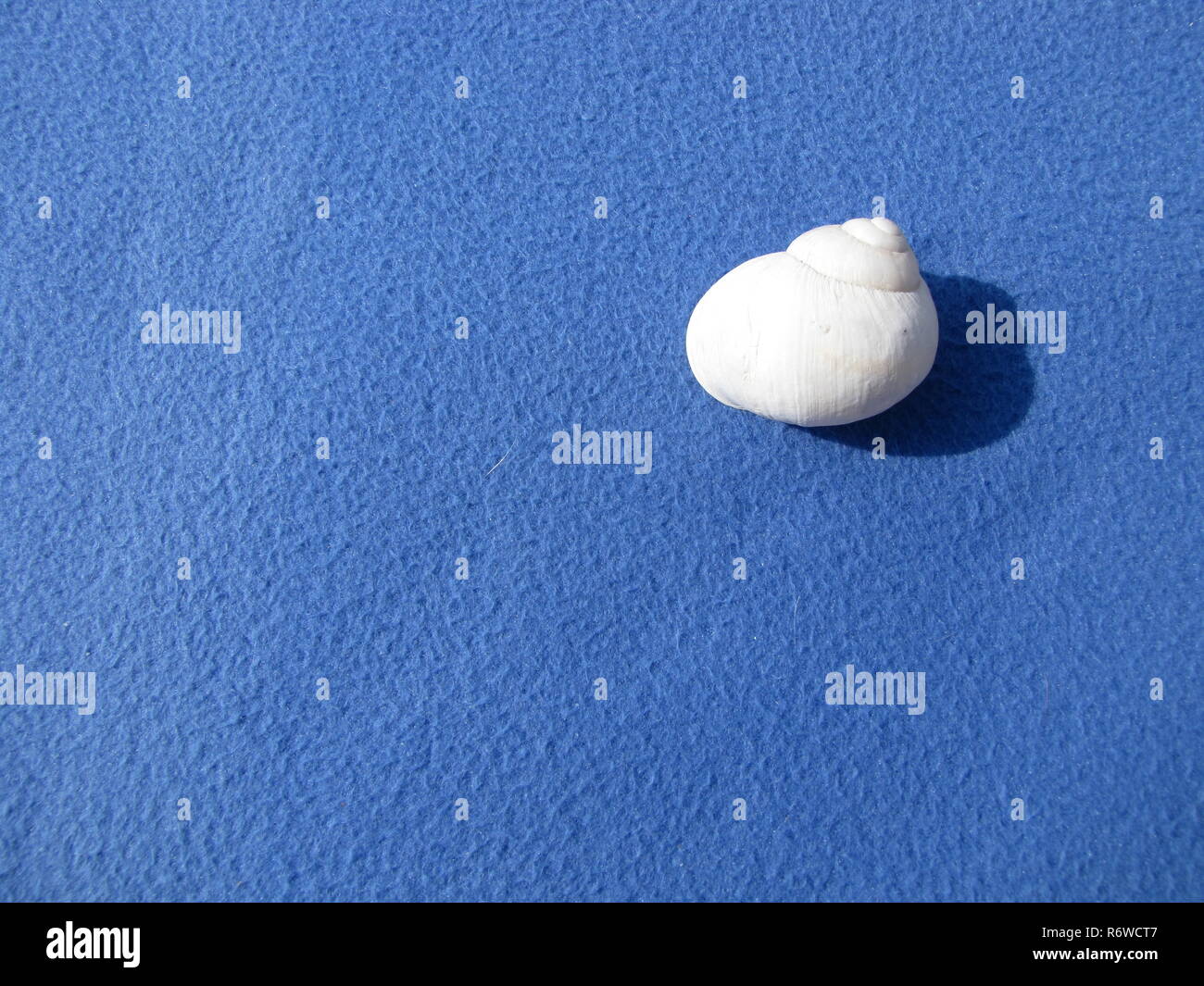 white snail shell top right on blue background Stock Photo - Alamy