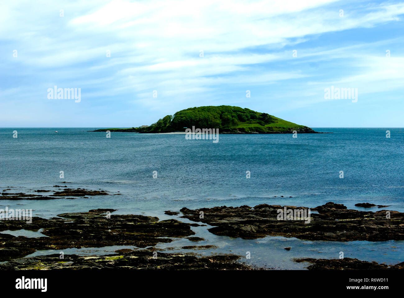 Looe Island (St George's Island) - green small island on the Cornish ...