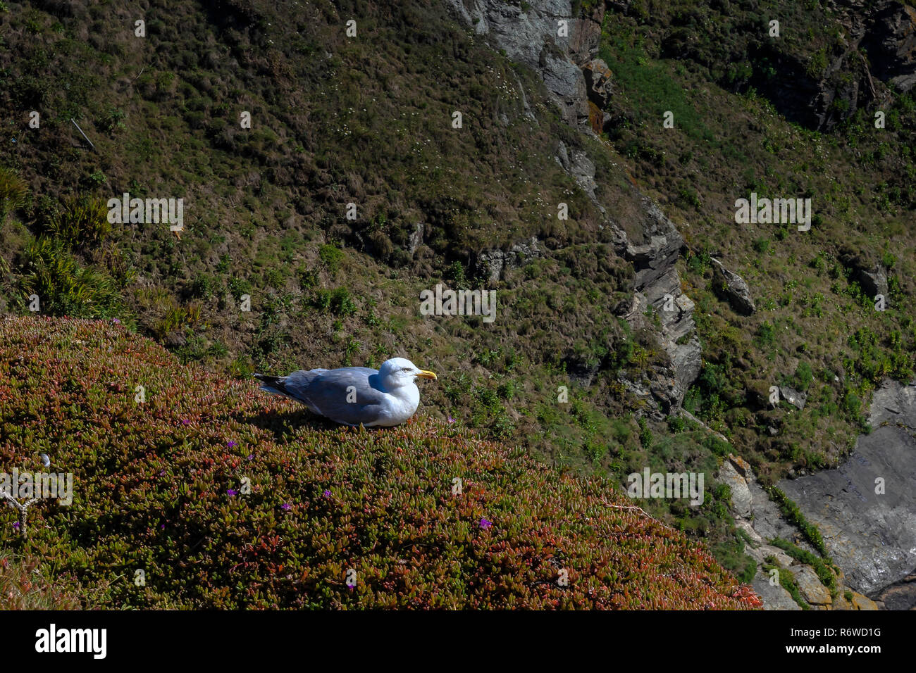 Piont of view hi-res stock photography and images - Alamy