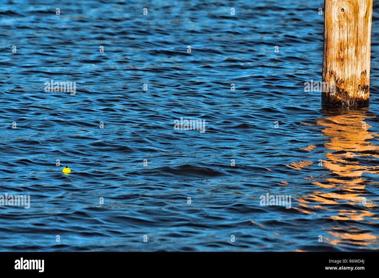 Fishing bobber floating on water near a wooden partially submerged post ...