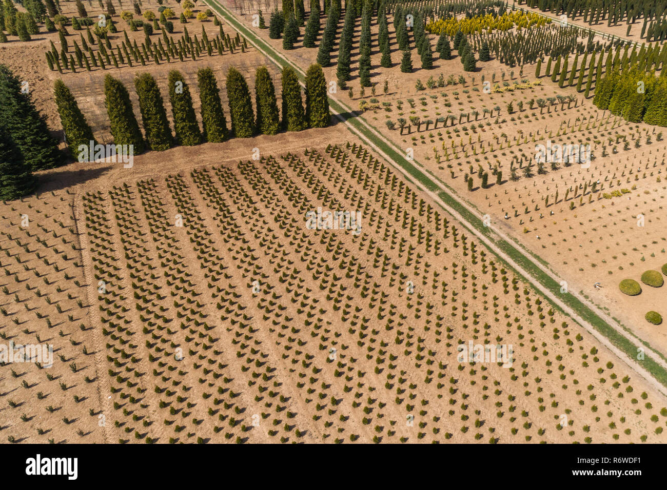 aerial view of plants and trees of a nursery Stock Photo - Alamy