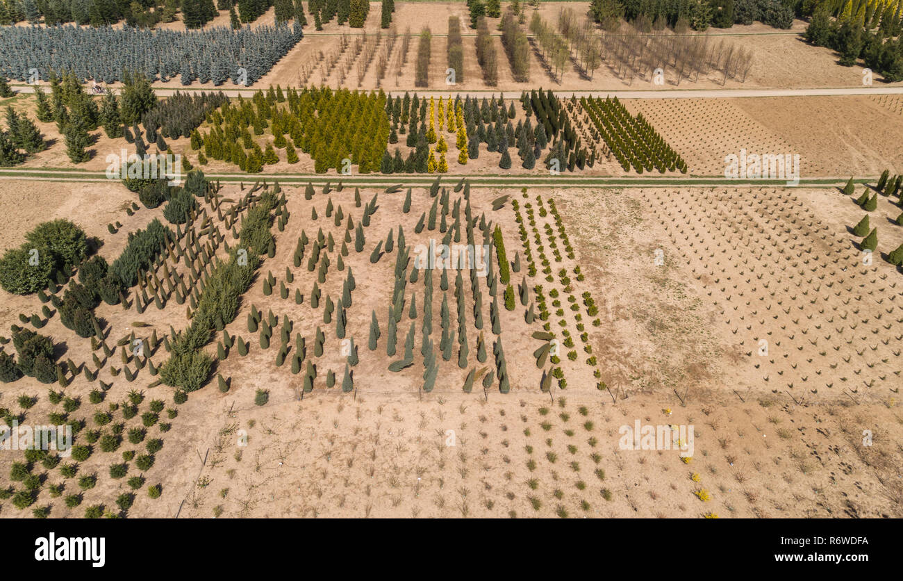 aerial view of plants and trees of a nursery Stock Photo - Alamy