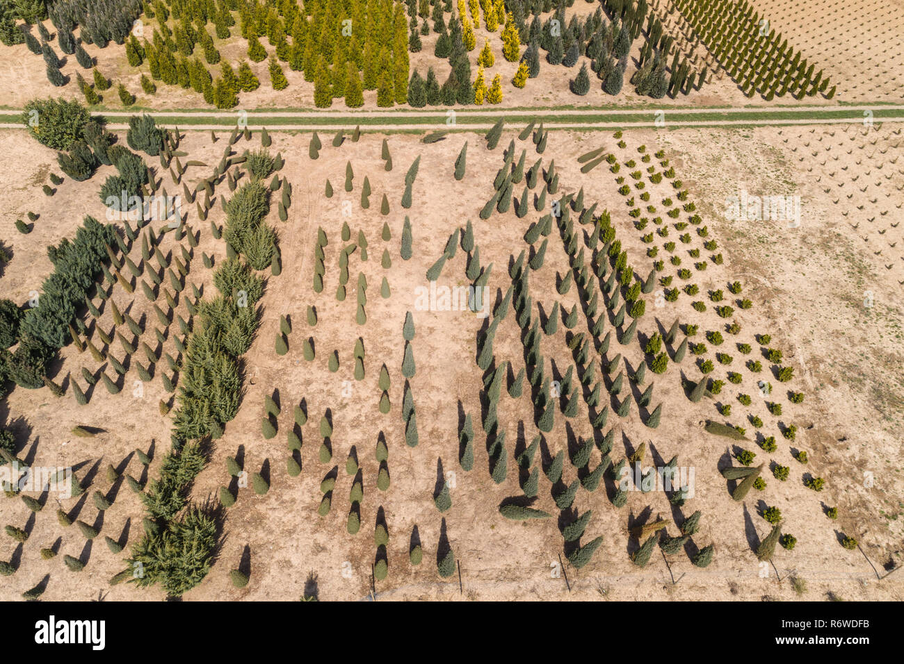 aerial view of plants and trees of a nursery Stock Photo - Alamy
