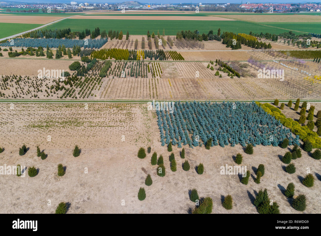 aerial view of plants and trees of a nursery Stock Photo - Alamy
