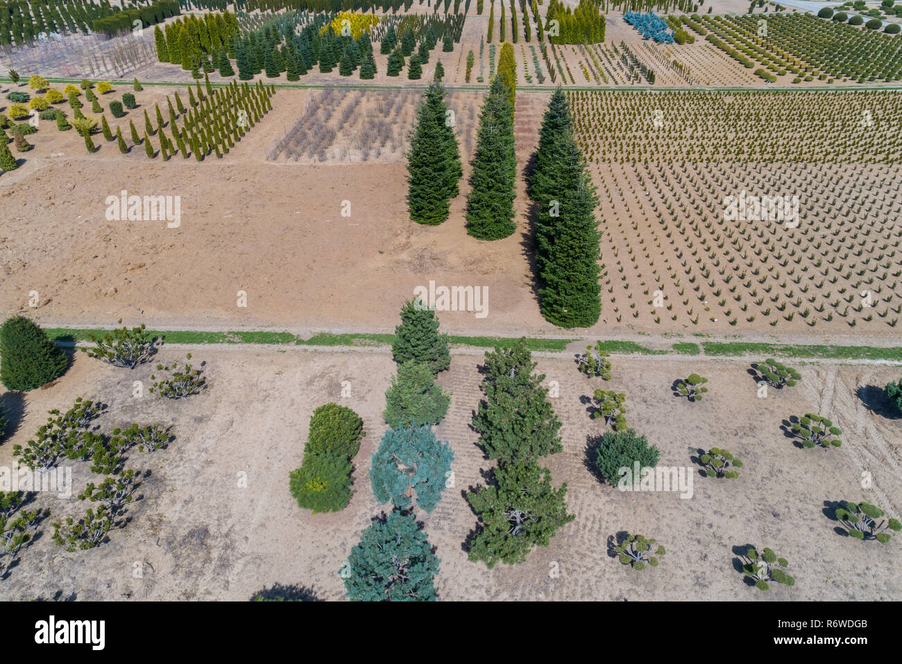 aerial view of plants and trees of a nursery Stock Photo - Alamy