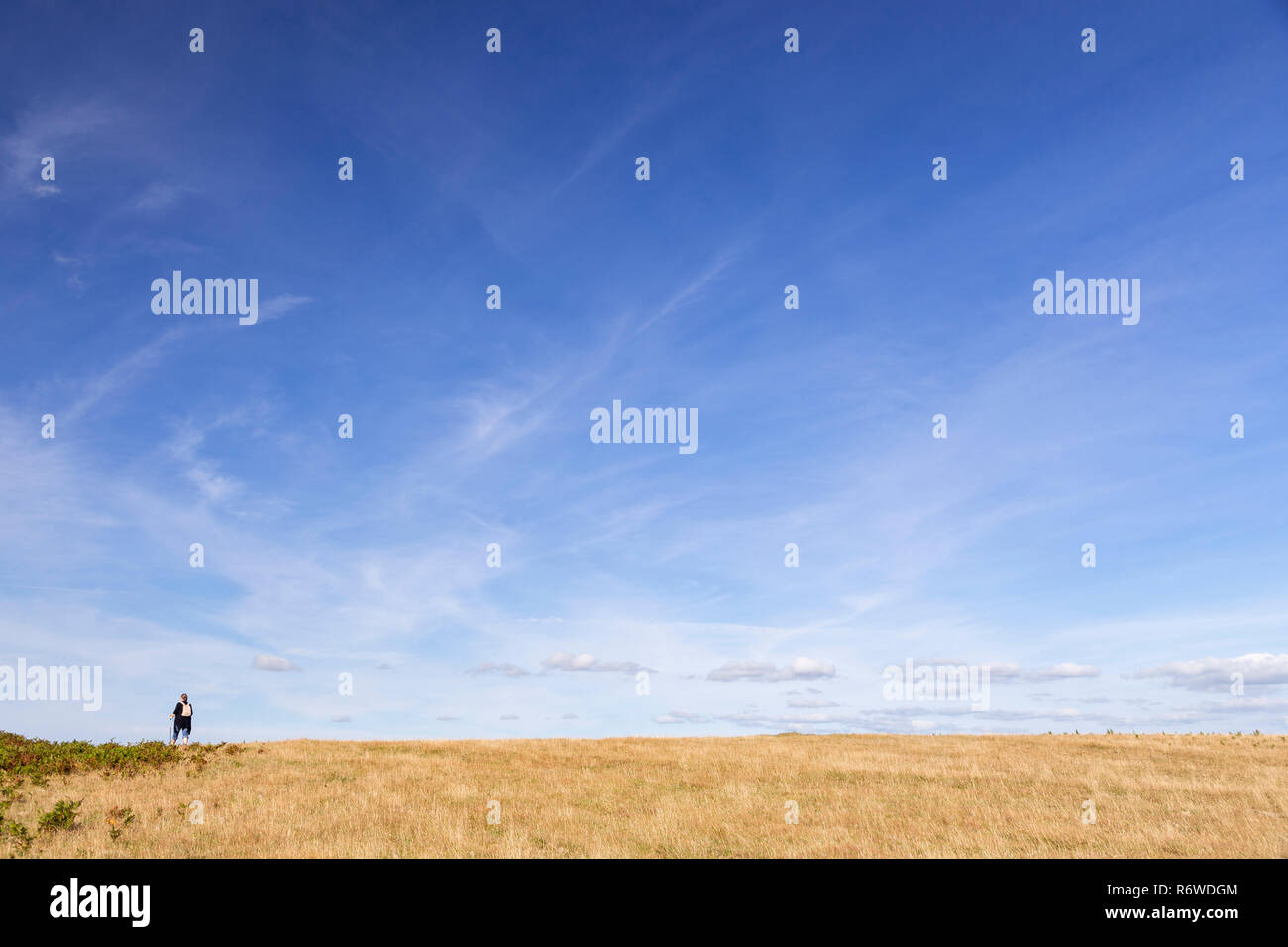 Walker at Penrhos Coastal Park, Anglesey, North Wales Stock Photo - Alamy