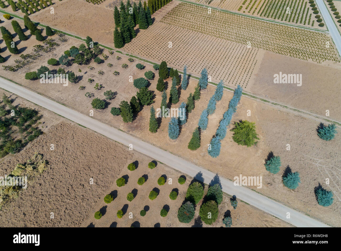aerial view of plants and trees of a nursery Stock Photo - Alamy