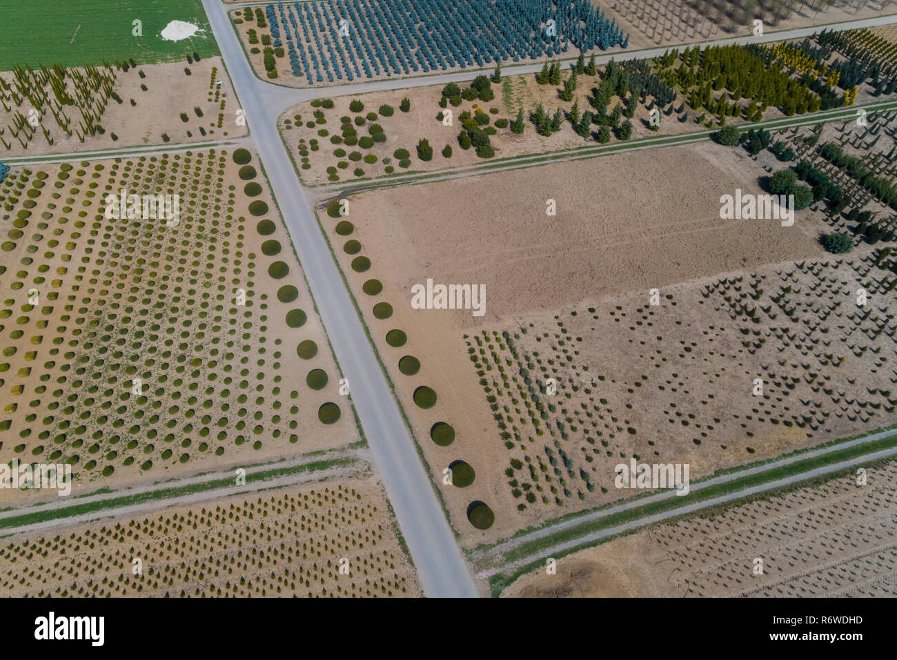 aerial view of plants and trees of a nursery Stock Photo - Alamy