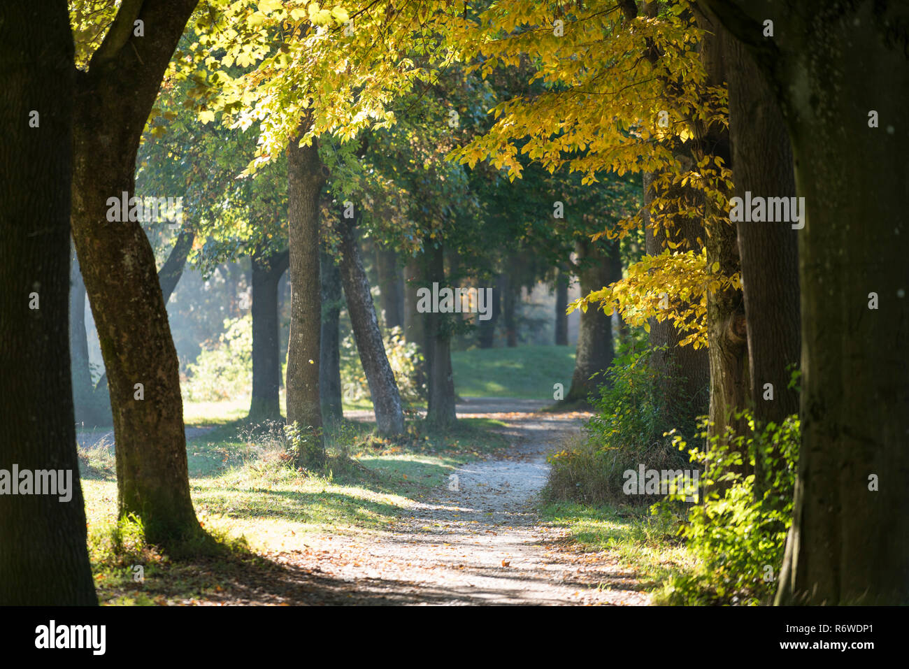 Atmospheric morning mood hi-res stock photography and images - Alamy
