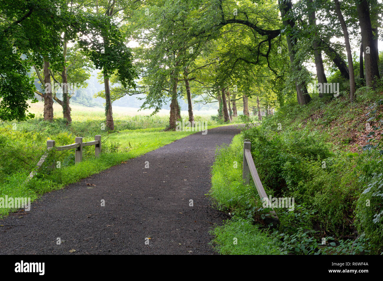 An old carriage road passing below large arching trees. Rockefeller ...