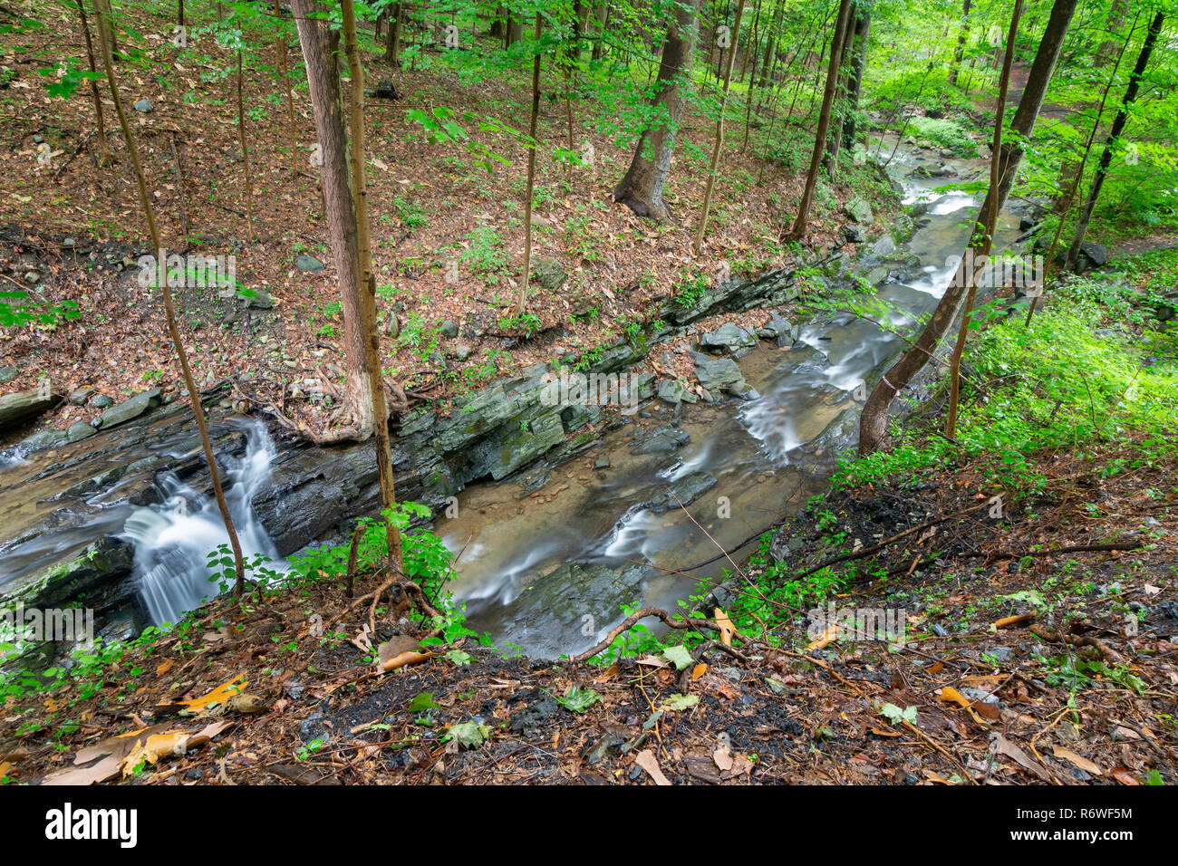 Foundry Brook cascading over rocks and waterfalls through a lush summer ...