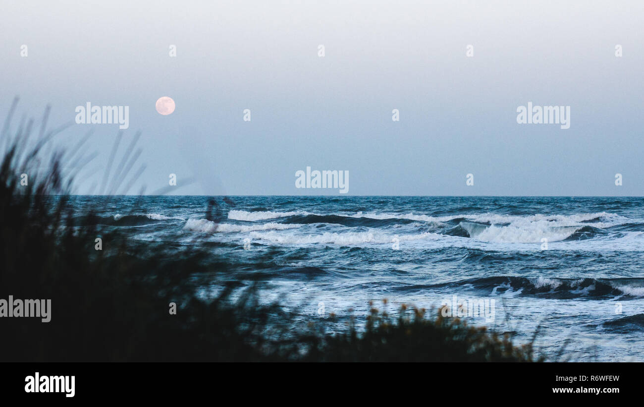 Twitter Beach Backgrounds