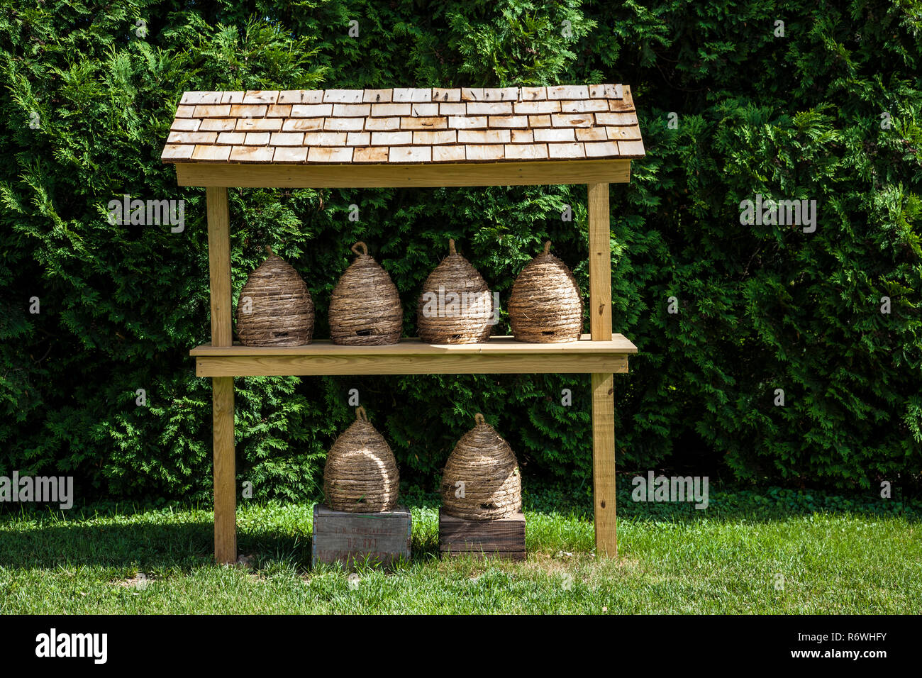 Honeybees Beehive Stock Photos & Honeybees Beehive Stock Images - Alamy