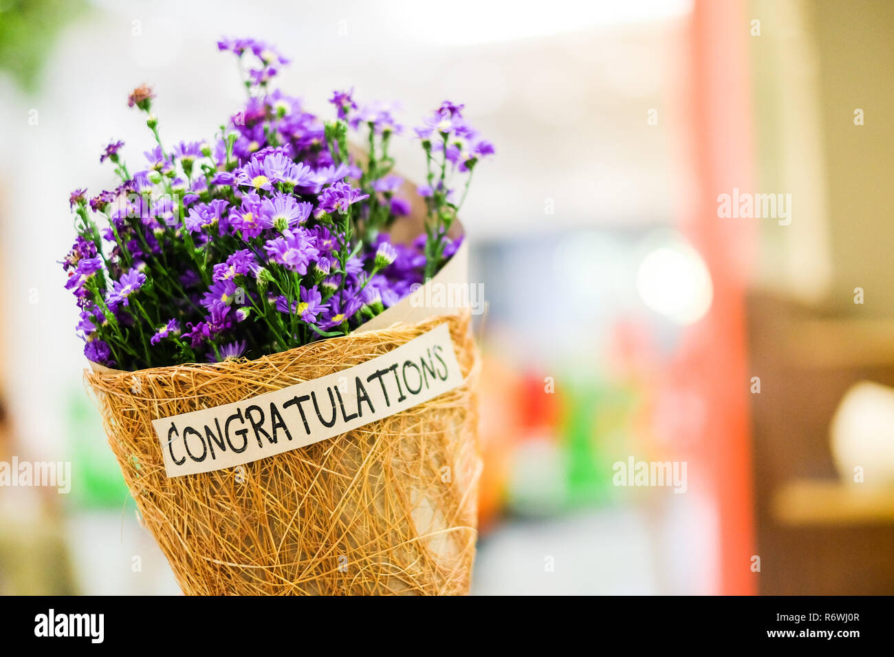 Beautiful violet or purple Gypsophila flower in brown grid paper ...