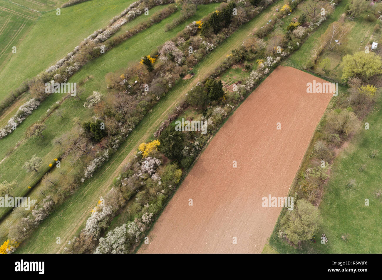 aerial view of bird protection hedges Stock Photo - Alamy